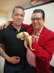 Home - BALL PYTHON BLACK SOUL