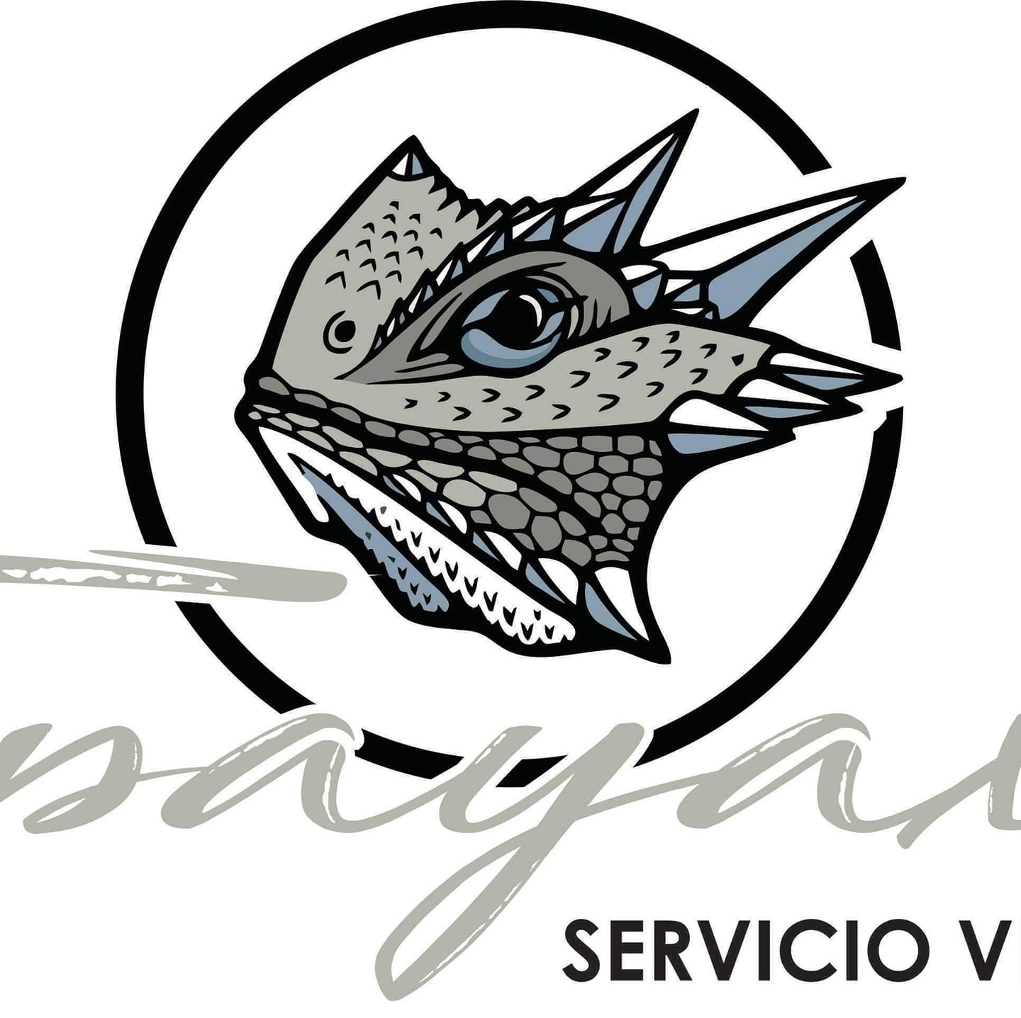 Home - BALL PYTHON BLACK SOUL