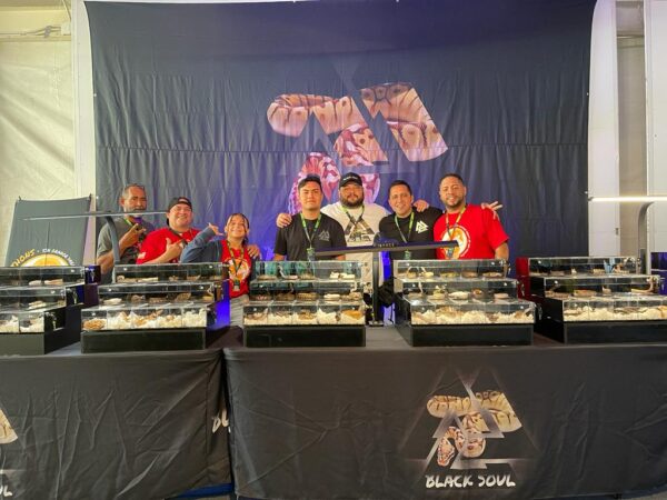 Home - BALL PYTHON BLACK SOUL