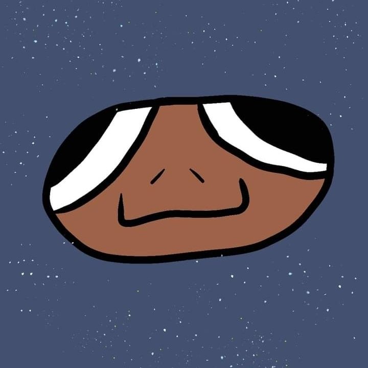 Home - BALL PYTHON BLACK SOUL